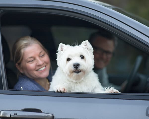 Our Story – WONDER BARK